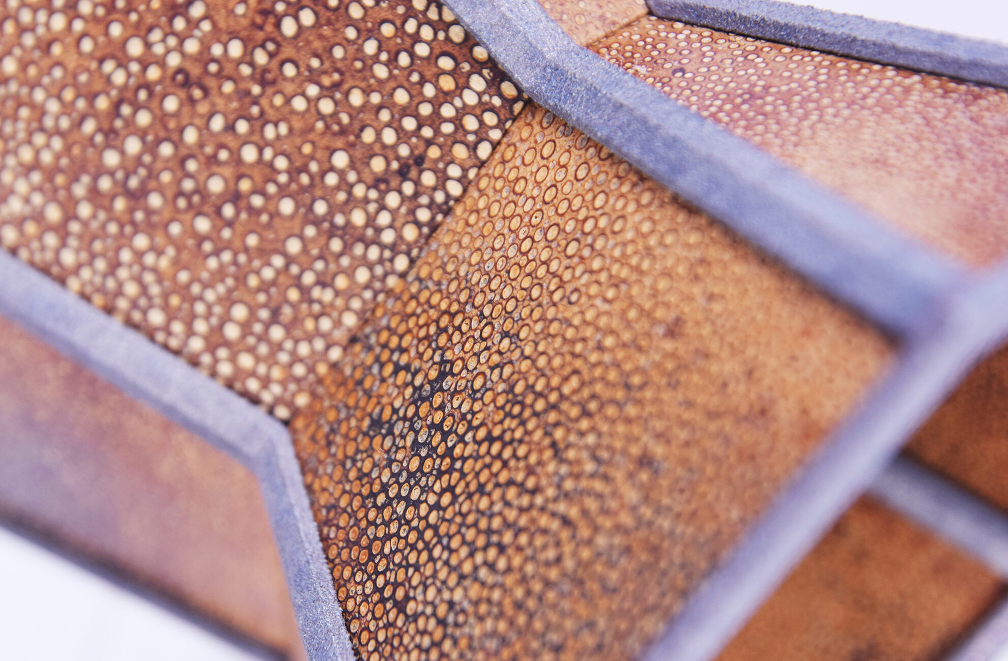 Spotlight: Artists and Sustainability – Rachael Colley - Castlefield ...