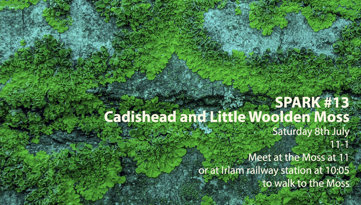 SPARK #13: Cadishead and Little Woolden Moss - Castlefield Gallery