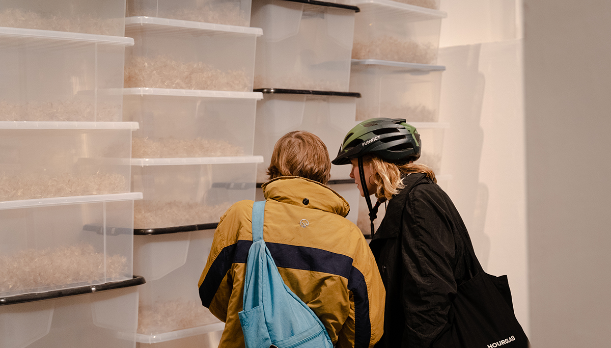 Omid Asadi | Castlefield Gallery