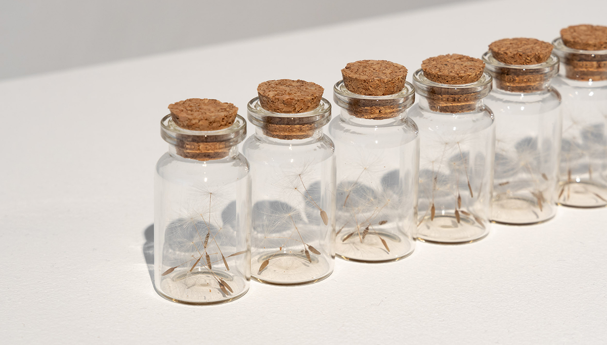 Omid Asadi | Castlefield Gallery