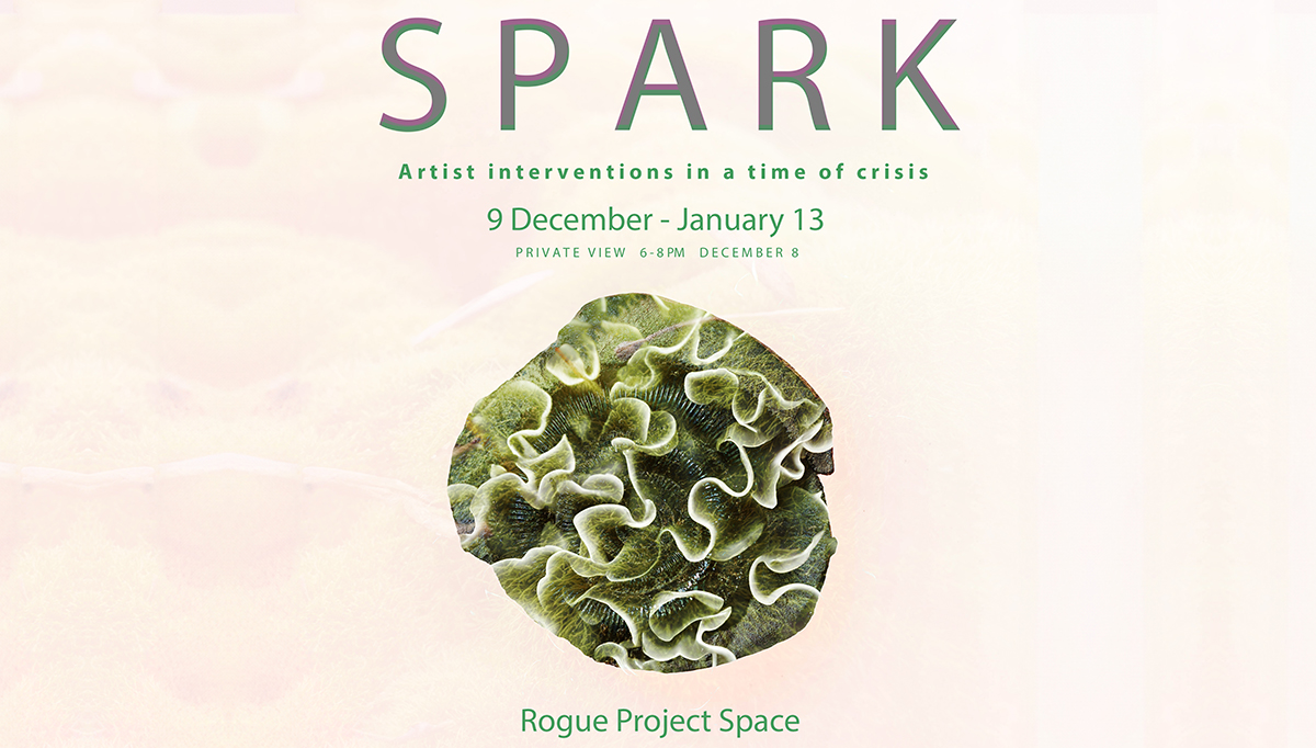 SPARK: Artist Interventions in a Time of Crisis - Castlefield Gallery