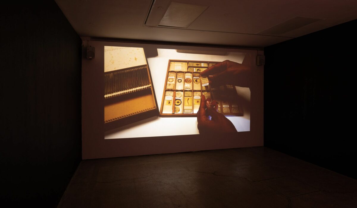 40 Years of the Future: Where Should We Be Now? - Castlefield Gallery