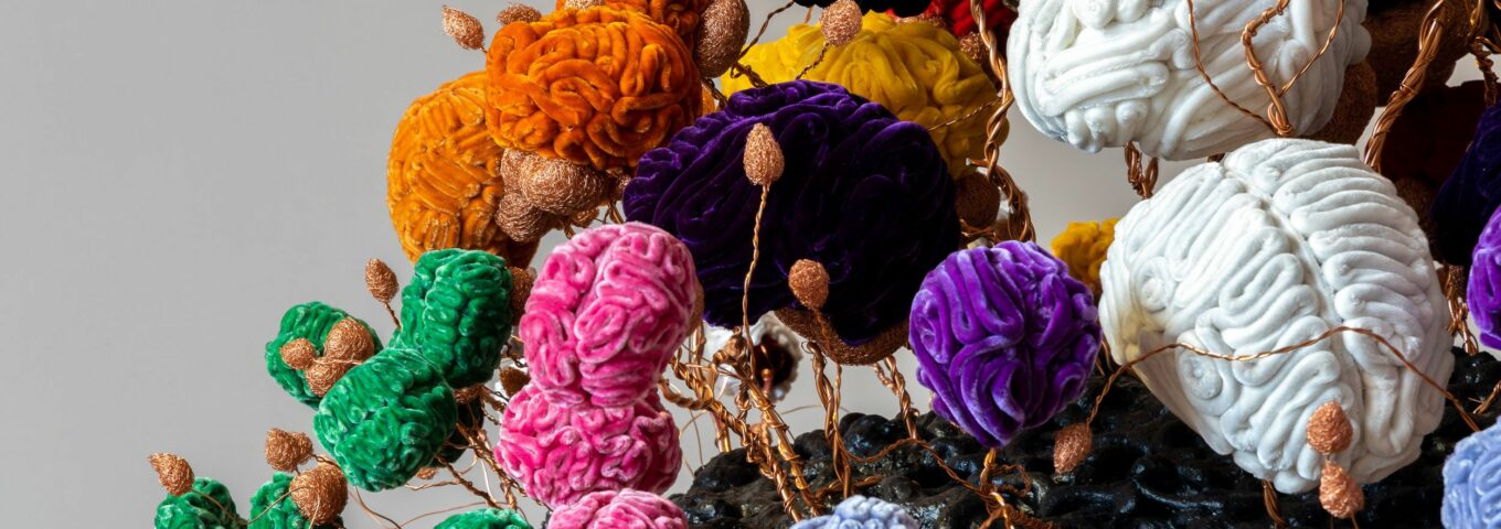 Artists and Sustainability spotlight: Jo Clements - Castlefield Gallery