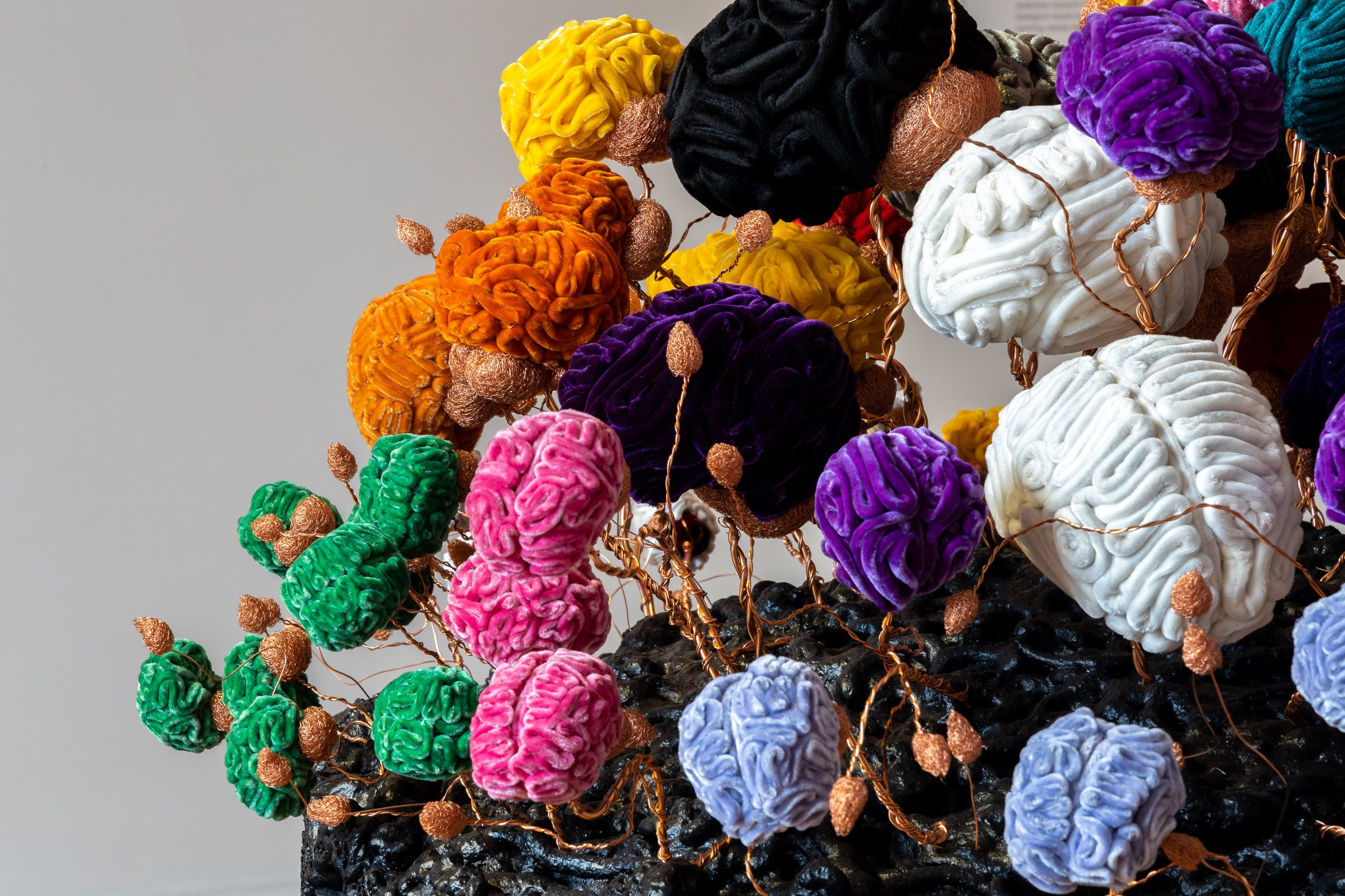 Artists and Sustainability spotlight: Jo Clements - Castlefield Gallery