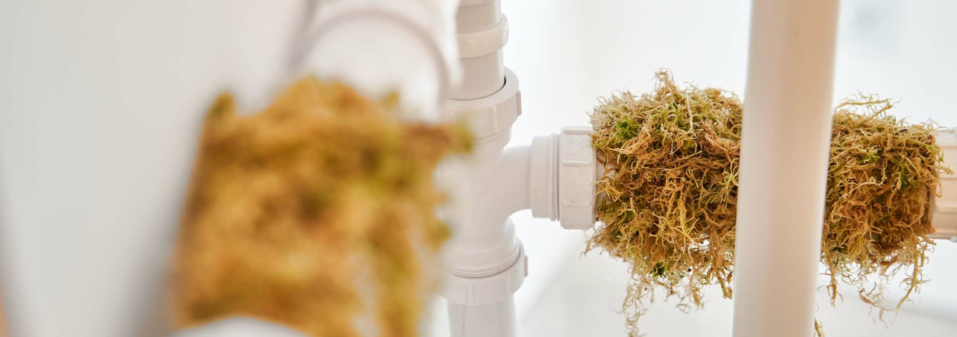 Home - Castlefield Gallery