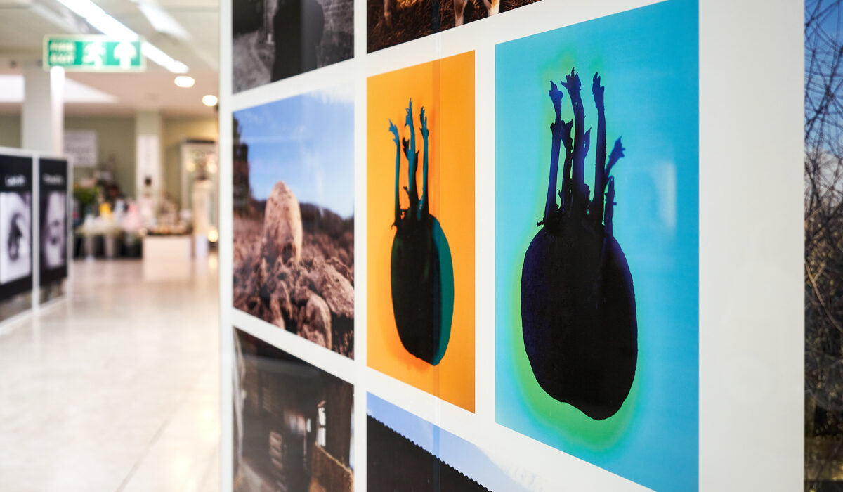 Castlefield Gallery New Art Spaces - Castlefield Gallery