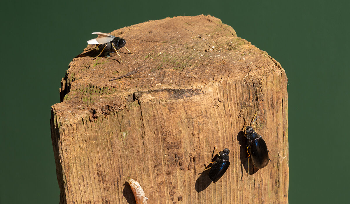 Environmental Responsibility - Castlefield Gallery