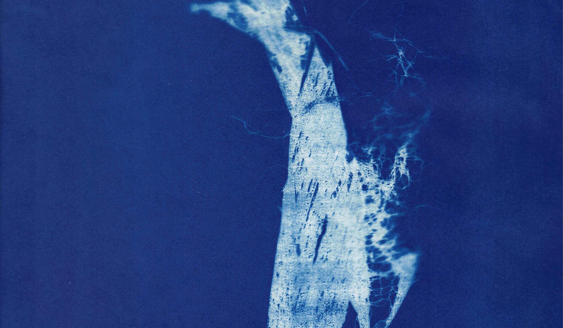 Artists and Sustainability Spotlight: Ashleigh Beattie - Castlefield ...