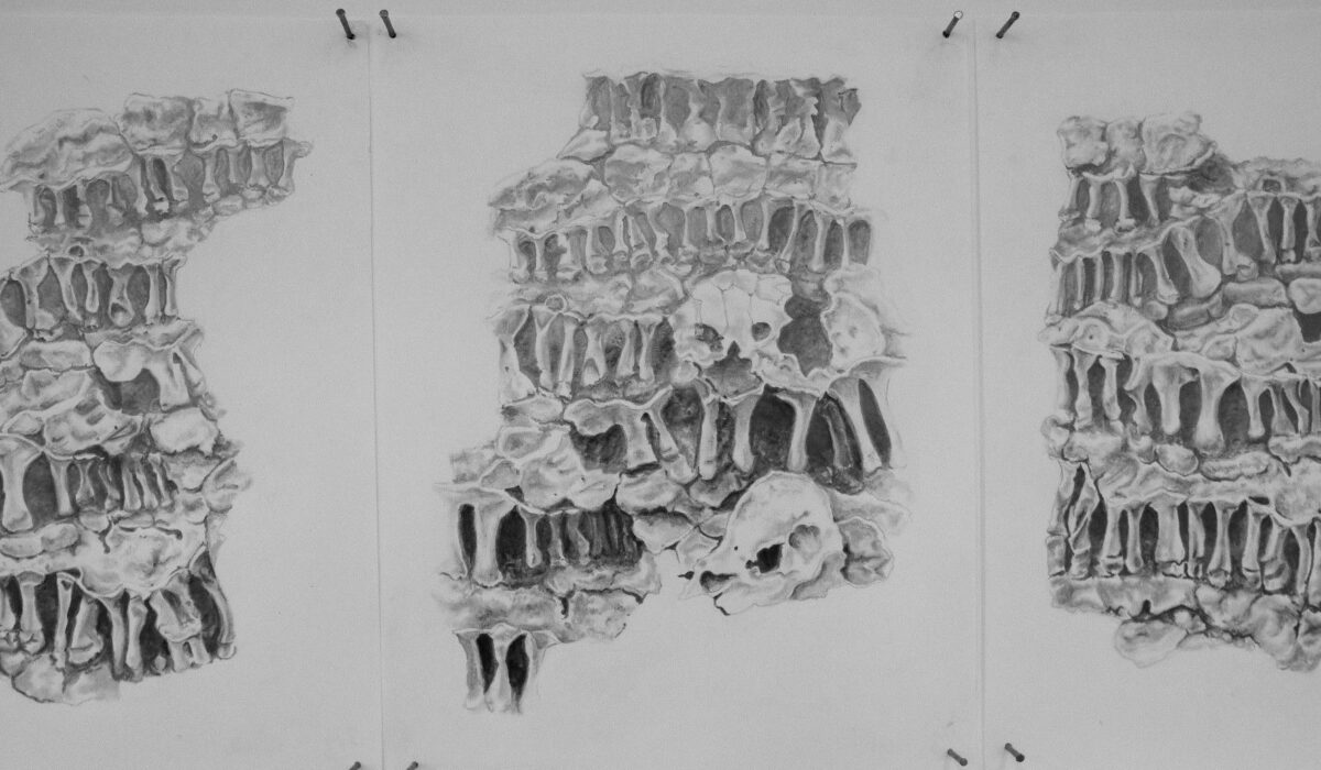 Artists and Sustainability Spotlight: Lucy Roberts - Castlefield Gallery