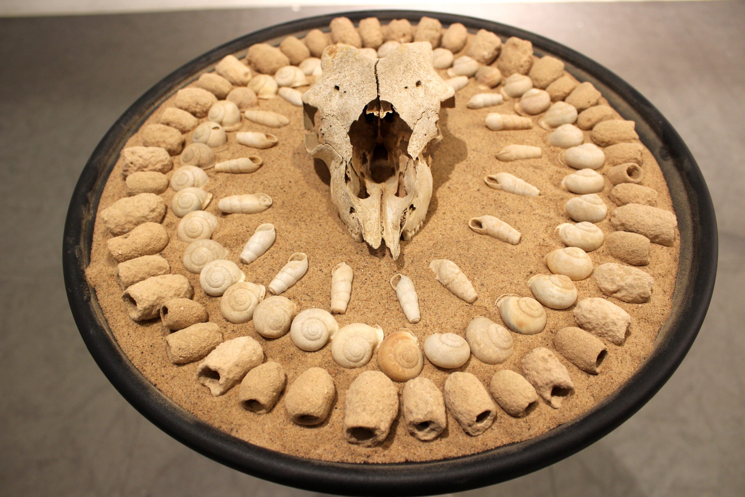 Castlefield Gallery New Art Spaces Chester — Remember Nature ...